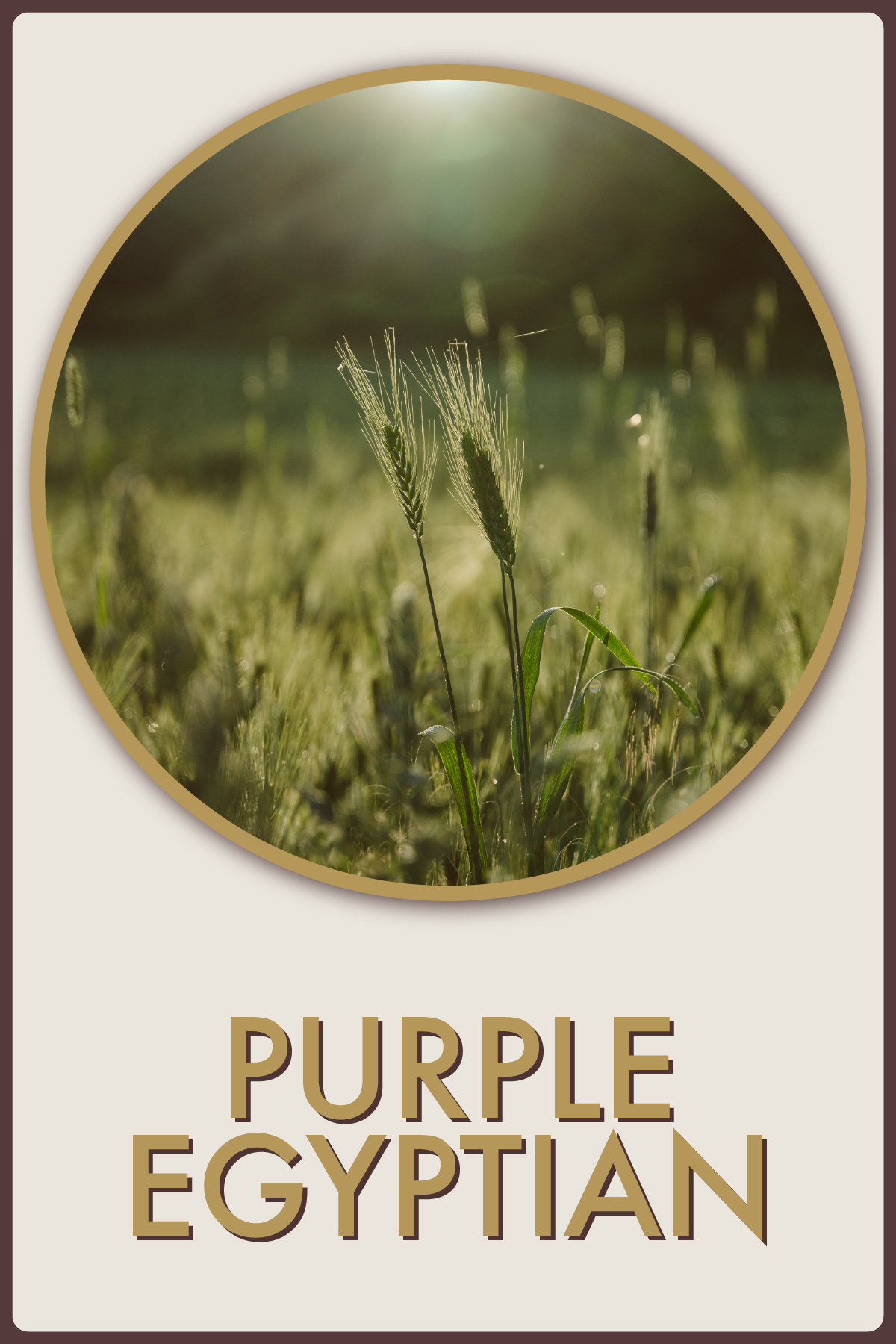 Purple Egyptian Whiskeys – BIRD CREEK WHISKEY
